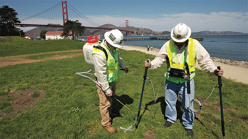 Pipeline Integrity - Mears